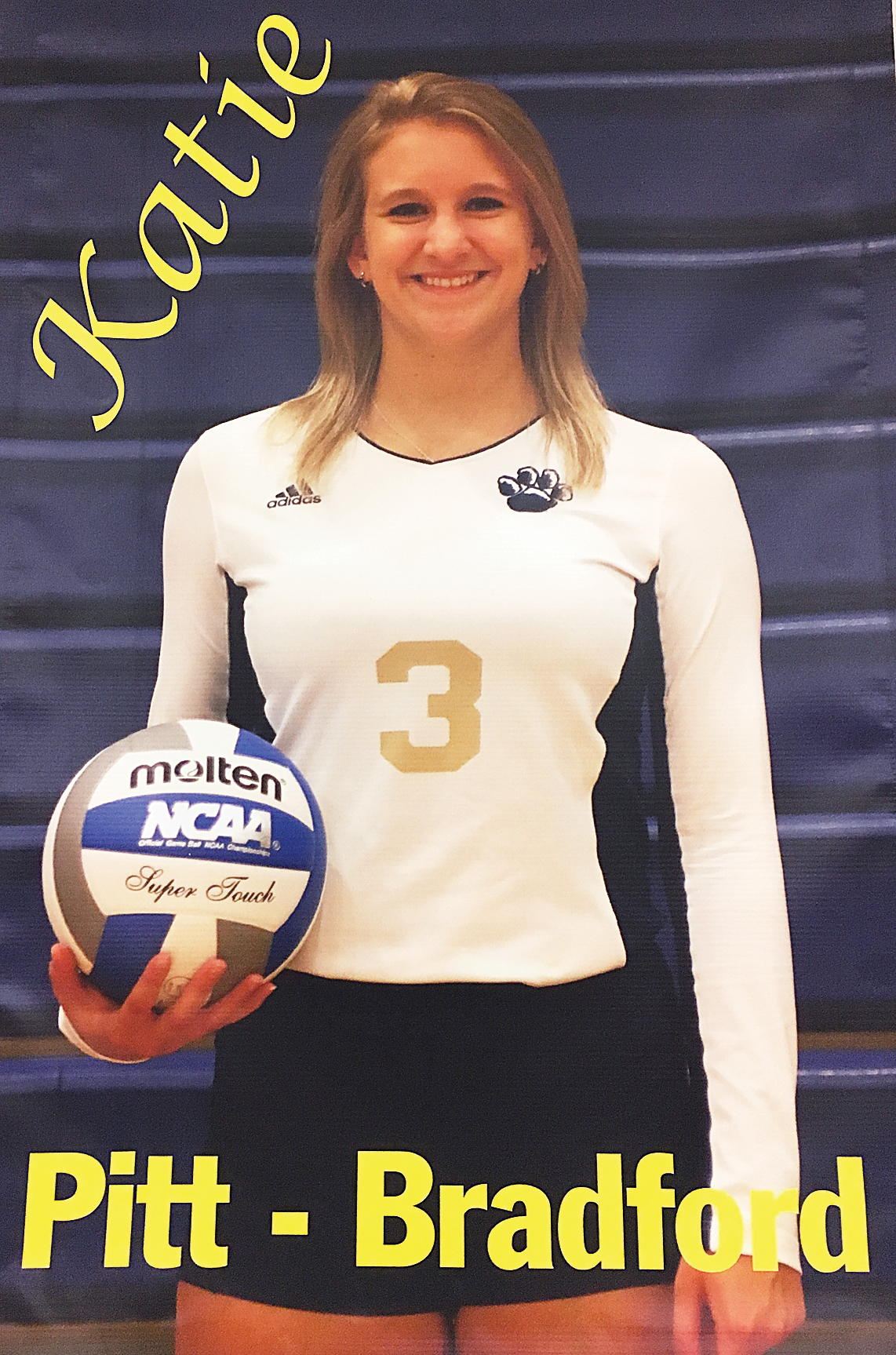 Sedon helps Pitt-Bradford to No. 2 seed in AMCC | News, Sports, Jobs ...